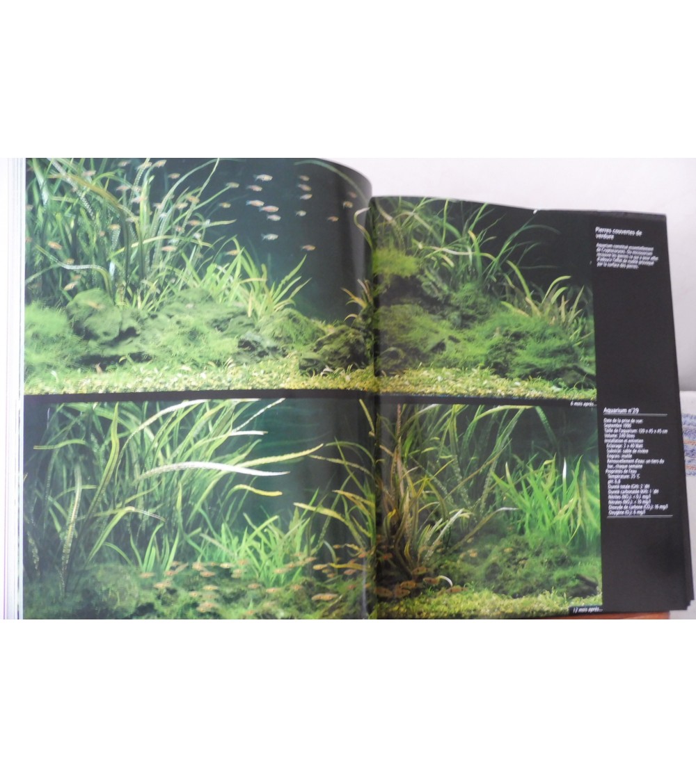 Le nouveau monde des plantes aquatiques (Francés)